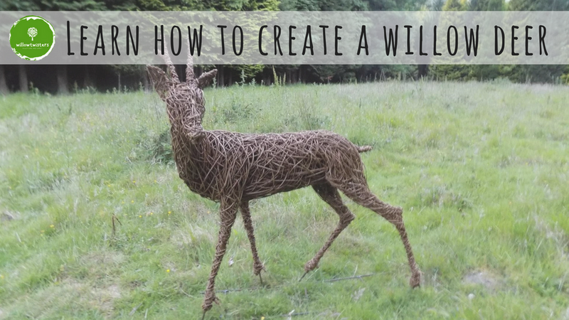 Learn willow sculpture online! - how to create a willow deer - Creative ...