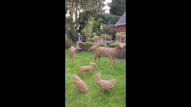 Kate Morrell willow sculpture courses