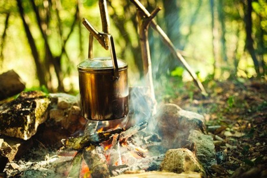 Bushcraft and survival skills course